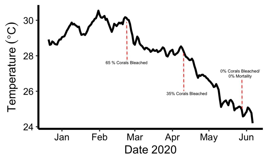 Bleaching 2020 - GBR Biology