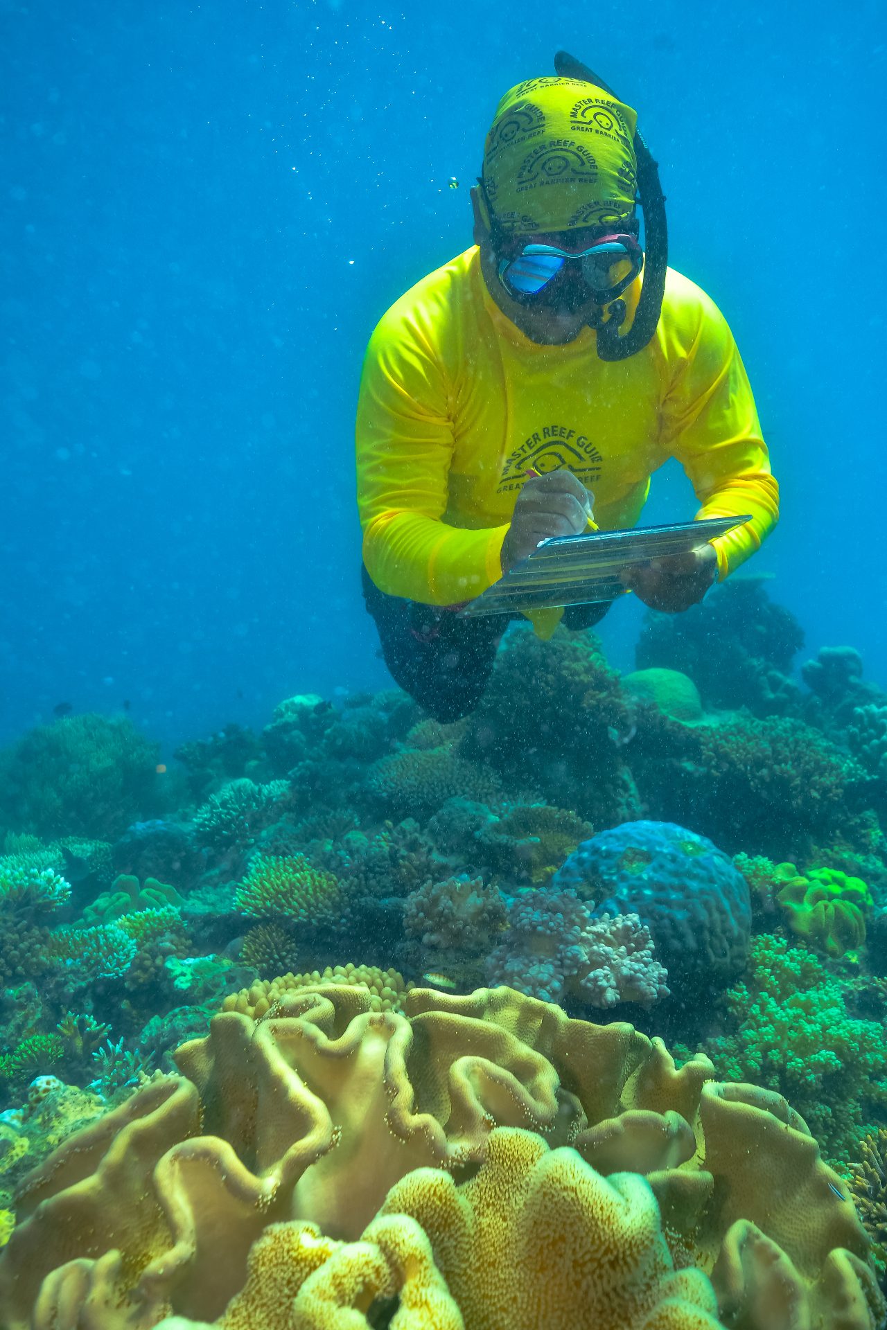 Reef Check - GBR Biology